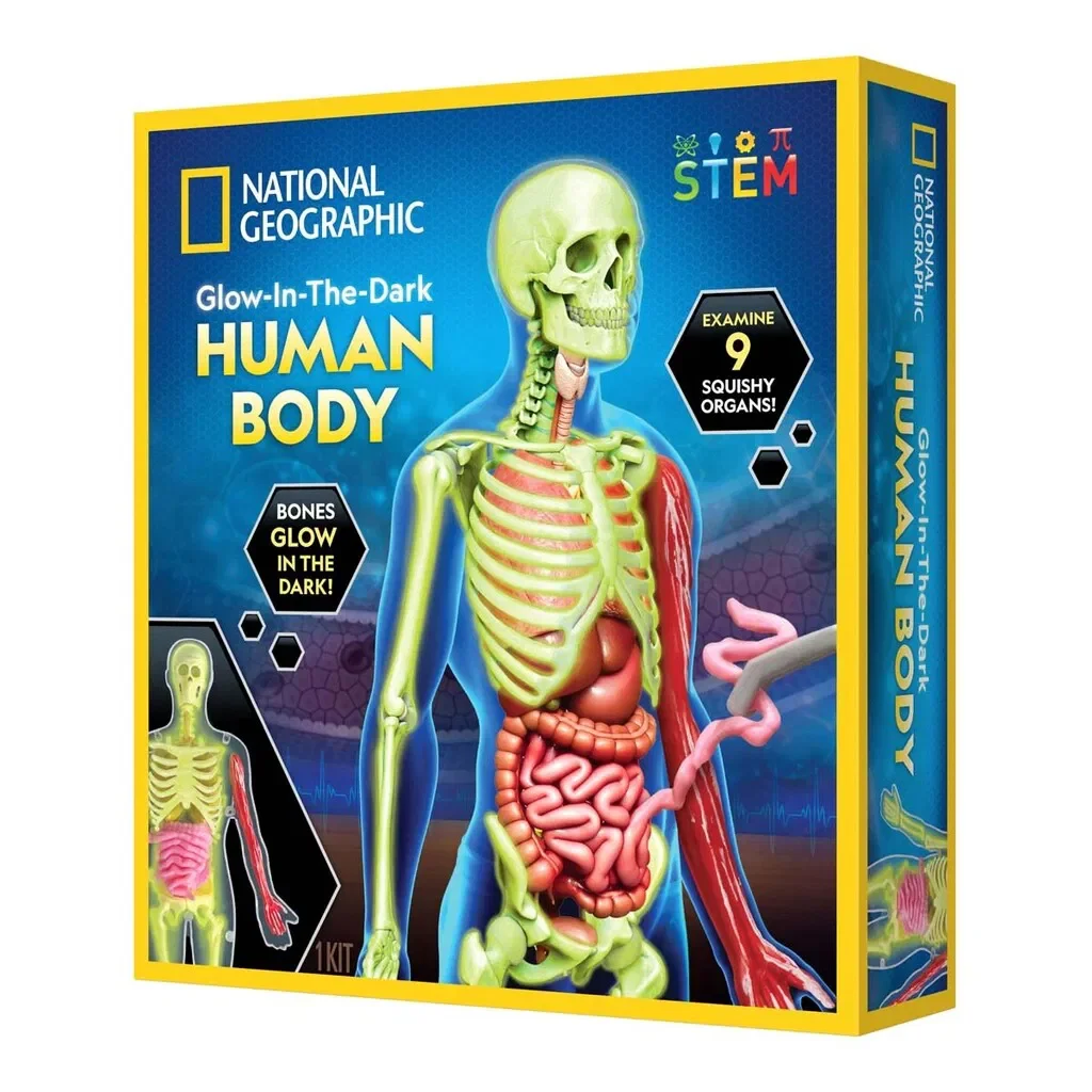 National Geographic Human Body Science Kit - Køb online hos Elverbørn.dk